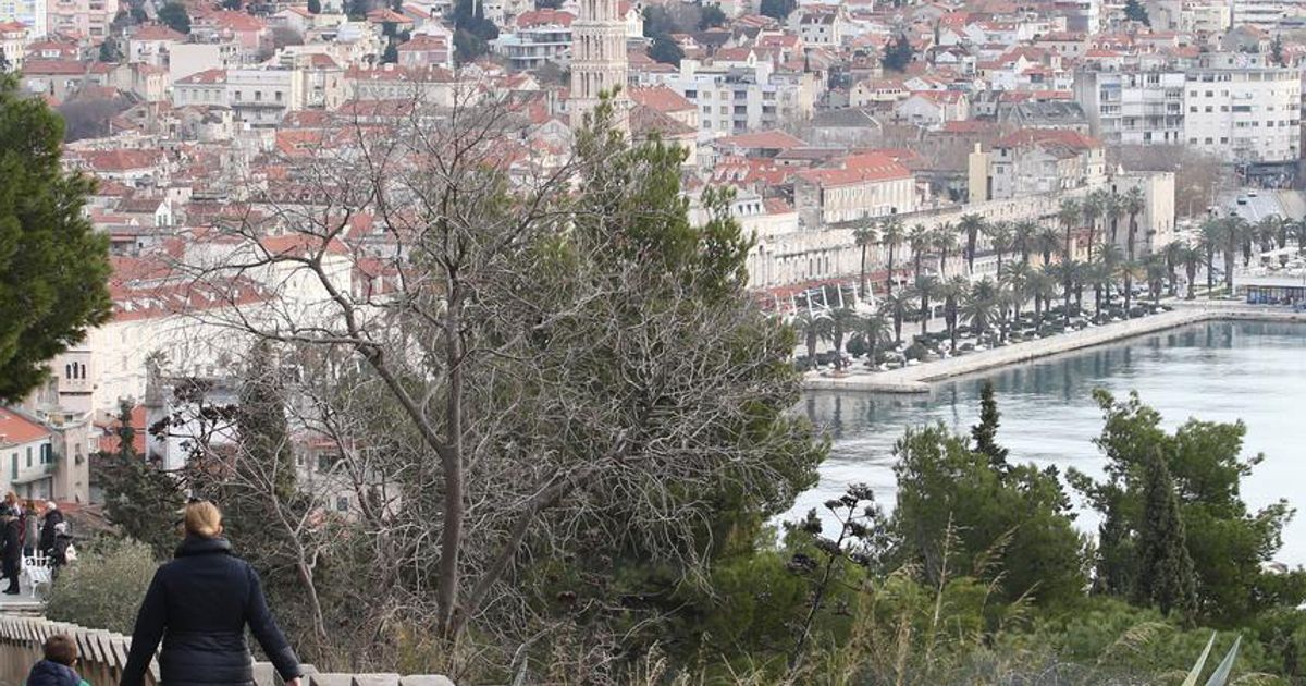 Join me and KIFST in the Wings for Life World Run!