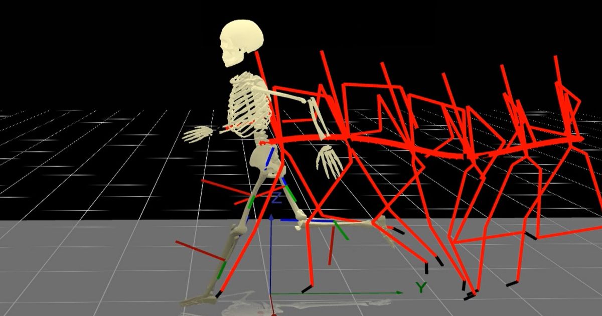 Join me and Motion Capture - Simi and friends in the Wings for Life ...