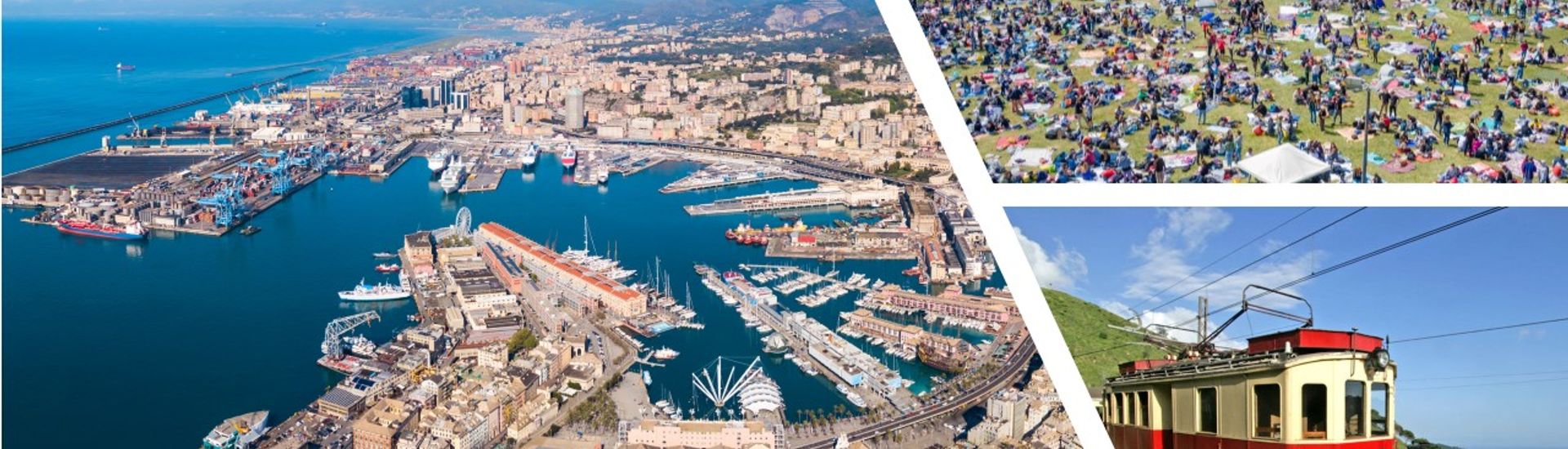 GENOVA CASELLA - Wings for Life World Run